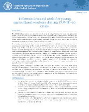 Information and tools for young agricultural workers during COVID-19 crisis | Africa UN ...